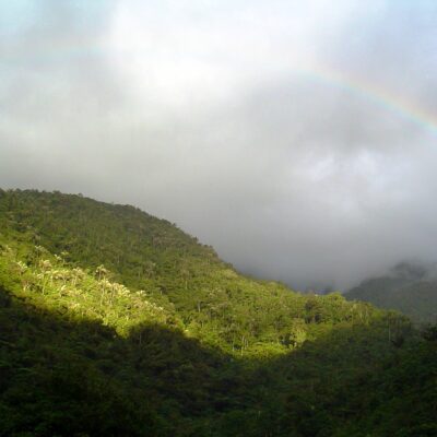 SELVA – Investigación para la Conservación en el Neotropico